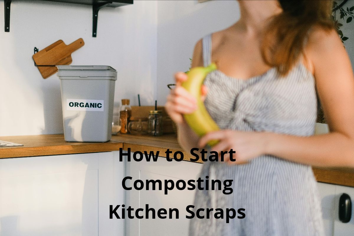 How to Start Composting Kitchen Scraps sent | Edye's Naturals